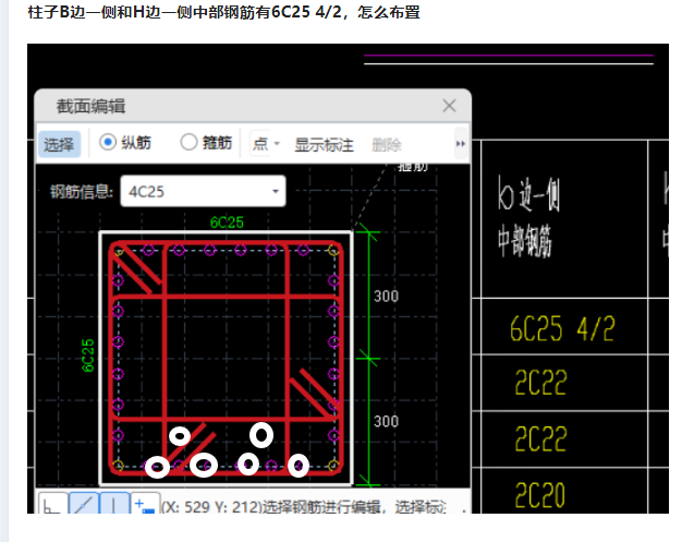 柱子B边一侧和H边一侧中部钢筋有6C25 4/2，怎么布置-服务新干线答疑解惑